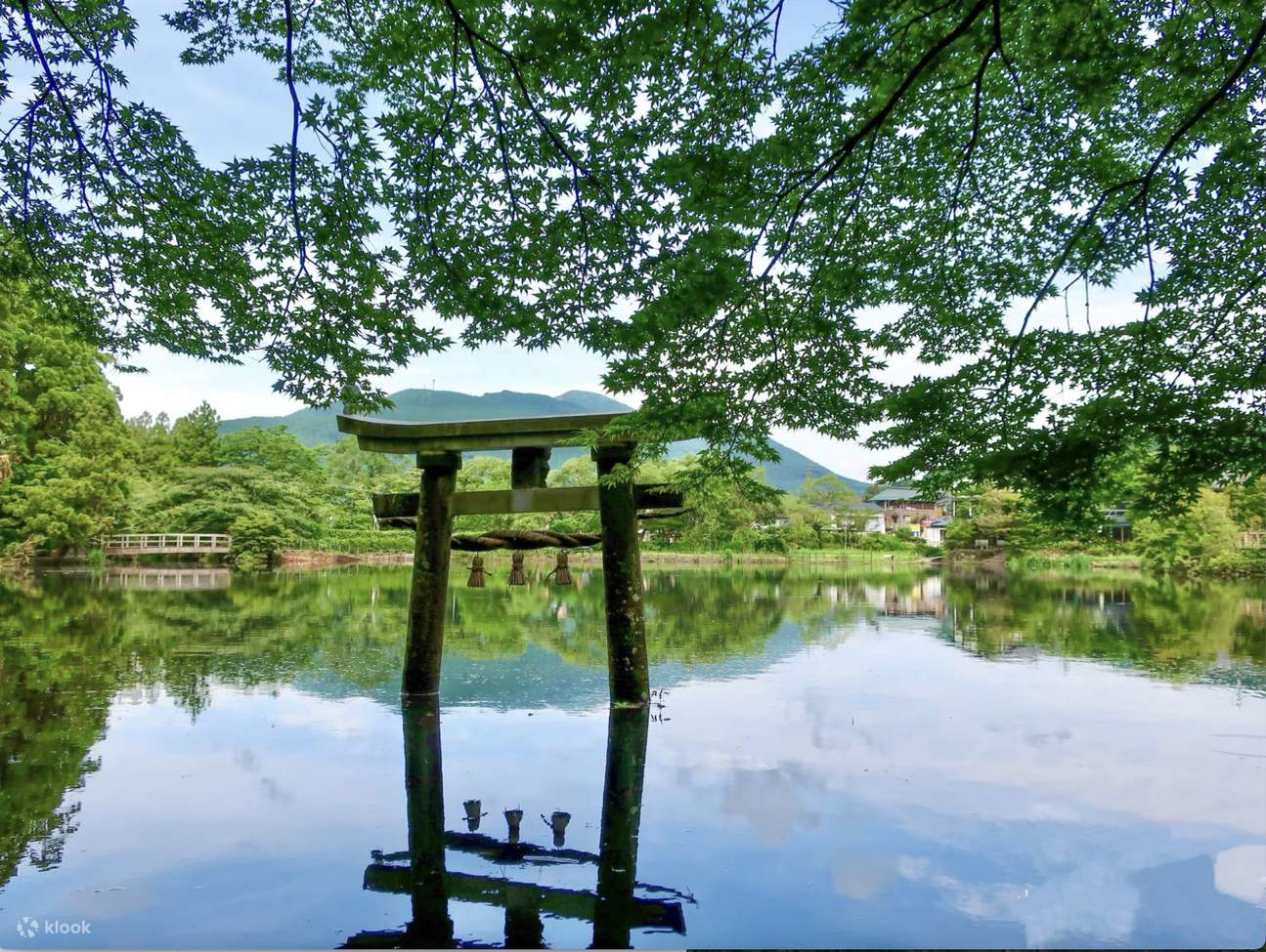 [Sakura Limited] Kyushu Saga Cherry Blossom Viewing Tour van één dag ...